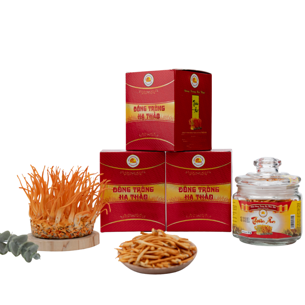 Raw Cordyceps Militaris High Quality No Preservatives Using For Food ISO Packing In Jar Made in ...